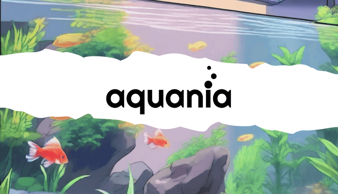 Mopani MP6 – Aquania